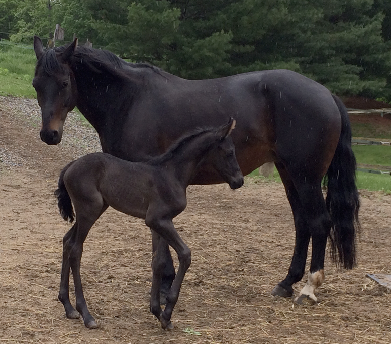 New Life | Eileen Rockefeller