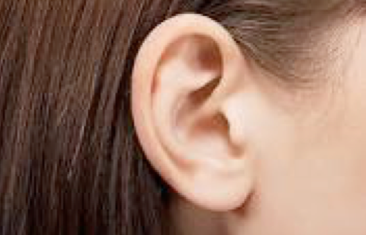 Blog | Eileen Rockefeller | Being a Rockefeller, Becoming Myself: A Memoir